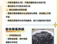 野米的功效与作用_野米怎么吃最好