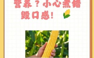 鲜玉米怎么煮好吃_鲜玉米煮多久才甜