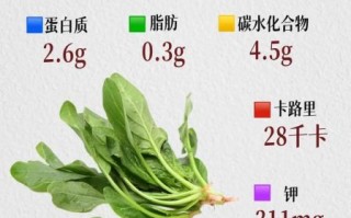菠菜有什么营养价值_菠菜怎么吃最健康