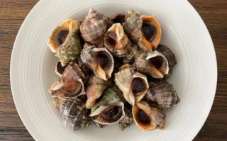 小海螺怎么吃图解_小海螺正确吃法步骤