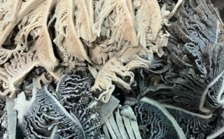 千层肚和毛肚的区别_哪个更好吃