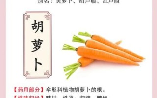 女性吃胡萝卜的好处有哪些_胡萝卜对女性的功效与作用