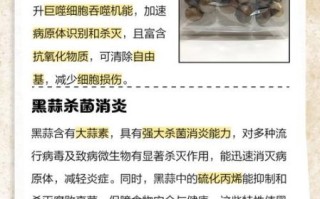 黑蒜对肾的功效与作用_黑蒜补肾是真的吗