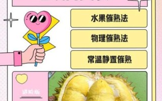 榴莲肉硬怎么办_如何变软