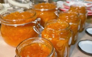 川贝怎么吃止咳化痰_川贝枇杷膏的做法