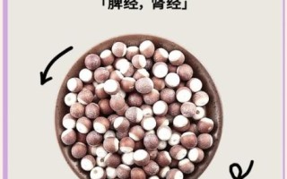 芡实怎么吃去湿_芡实去湿气的正确吃法