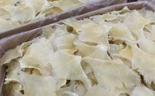 鳐鱼鱼翅怎么泡发_鳐鱼鱼翅家常做法