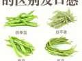 豇豆角怎么保存_豇豆角图片识别技巧