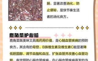 鹿角菜的热量是多少_鹿角菜减肥能吃吗