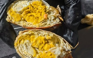 黄油蟹哪里产的_黄油蟹产地在哪里