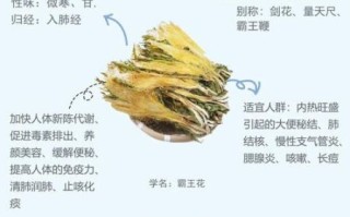 霸王花煲汤的做法大全_霸王花煲汤有什么功效