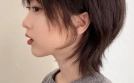 鲻鱼头发型女生短发款_适合什么脸型