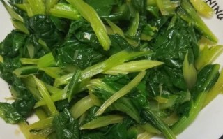 君达菜是什么_君达菜怎么吃