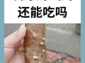 发芽的山药能吃吗_如何安全处理