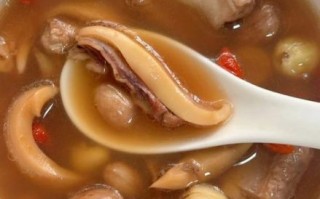 鲜墨鱼汤怎么做_墨鱼汤去腥技巧