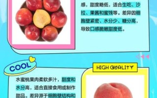 蜜桃怎么挑选_蜜桃和油桃的区别