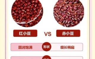 红豆和红小豆是一种豆吗_区别与功效全解析