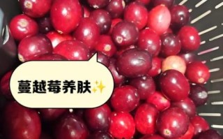 蔓越莓的功效与作用_蔓越莓多少钱一斤