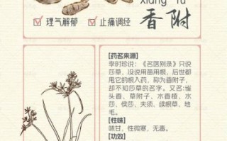 香附的功效与作用及副作用_香附哪些人不能吃