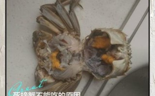 死河蟹能吃吗_河蟹死了多久不能吃
