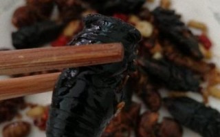 蚕蛹里面的黑东西能吃吗_蚕蛹黑色物质是什么