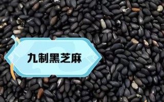 黑芝麻怎么吃最有营养_黑芝麻一天吃多少克