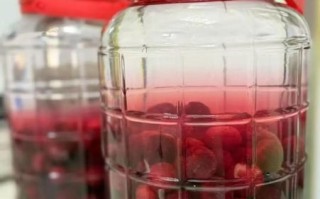 杨梅酒怎么泡酒比例_杨梅酒泡多久可以喝