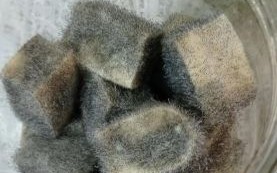 自制豆腐乳的做法_豆腐乳发霉了还能吃吗