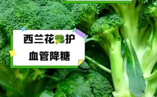西兰花汁可以减肥吗_西兰花汁的功效与作用