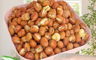 泡发的干蚕豆怎么做好吃_干蚕豆的家常做法