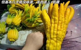 金华佛手茶怎么泡_金华佛手茶功效与作用