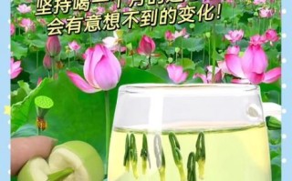 莲子心泡水喝的最佳搭配_莲子心和什么一起泡最好