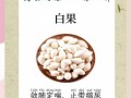 白果治疗妇科病偏方_白果怎么吃最管用