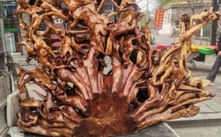 香椿树根雕图片100图_如何鉴别真假