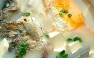 鱼汤怎么炖不腥_鱼汤的家常做法大全