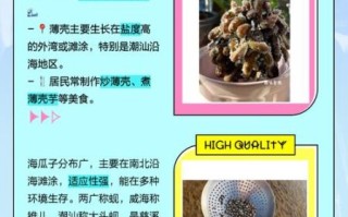 海瓜子种类怎么区分_三种海瓜子口感差异