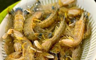濑尿虾干怎么保存_濑尿虾干的做法大全