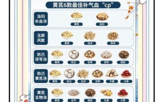 补气的食物有哪些_补气药材怎么吃效果最好