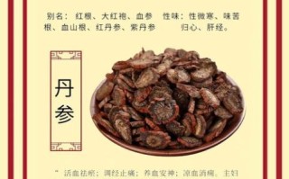 长期服用丹参的危害_丹参副作用有哪些