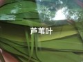 芦苇叶和粽叶有什么区别_哪个更适合包粽子