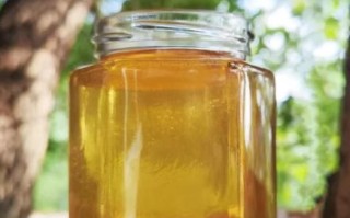 荆条蜜的功效与作用_荆条蜜适合什么人喝