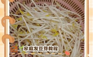 怎样发绿豆芽_绿豆芽怎么发最快