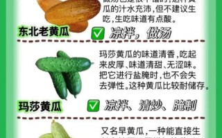 菜瓜有几种_菜瓜和黄瓜的区别