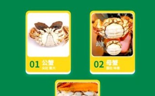 黄油蟹和青蟹的区别_黄油蟹和青蟹哪个好吃