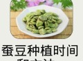 蚕豆种子怎么种_蚕豆种子发芽时间