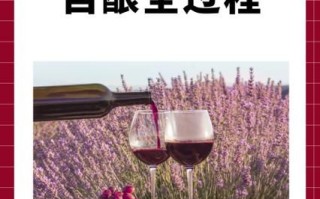 葡萄酒怎么发酵_自酿葡萄酒步骤