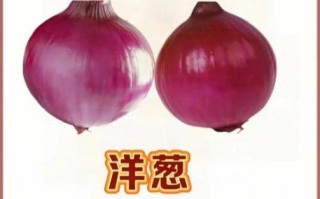 大葱和洋葱的营养价值一样吗_哪个更健康