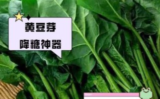 降血糖的蔬菜有哪些_10种蔬菜是降血糖神器