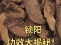 锁阳的功效与作用_锁阳能提高性功能吗