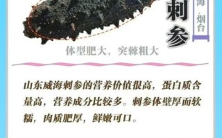 大连野生海参多少钱一斤_如何辨别真假